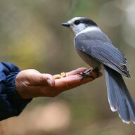 New Stable Diffusion 3 release excels at AI-generated body horror - Ars Technica