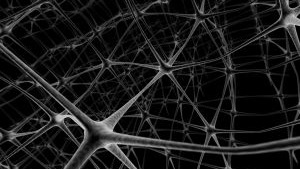 Researchers store working memory in brain slices - Ars Technica