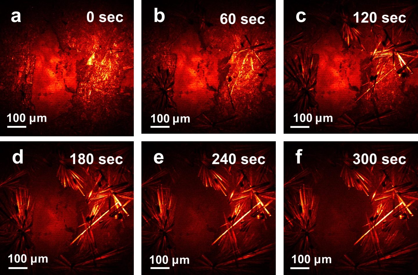 Using CARS to understand how drugs enter solution - Ars Technica