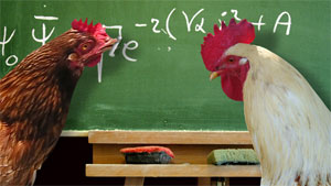 Weird science: nagging mothers and chicken mathematicians - Ars Technica