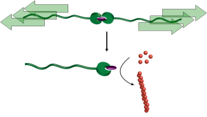 Ripping into a catalyst - Ars Technica
