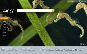 To Bing or not to Bing? Hands on with Microsoft's new search - Ars Technica