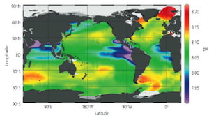 Gaining a long-term view of ocean acidification - Ars Technica