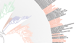 Presenting a genomic encyclopedia of bacteria (and archaea) - Ars Technica