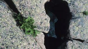 Pangea-era rift makes East Coast perfect for carbon storage - Ars Technica