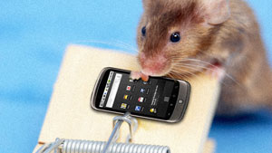 Cell phone radiation may fight Alzheimer's... in mice - Ars Technica