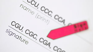 Gene patents may not survive breast cancer test ruling - Ars Technica