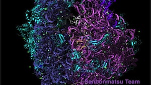 Building better antibiotics (by understanding the ribosome) - Ars Technica