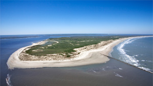 Weird Science votes all the useful people off the island - Ars Technica