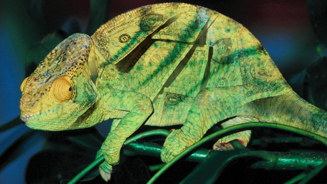 Novell acquired by Attachmate, sells some patents to Microsoft - Ars ...