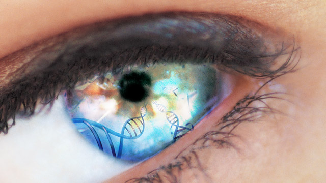 Ten years on: why a complete human genome mattered - Ars Technica