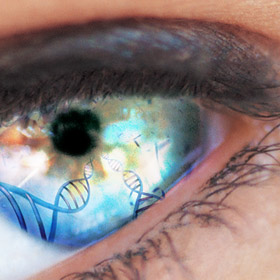 Ten years on: why a complete human genome mattered | Ars Technica