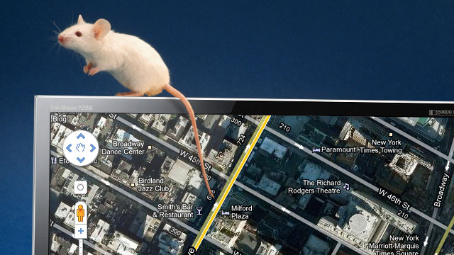 Week in science: lost mouse edition - Ars Technica