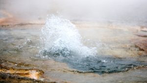 Massive genome analysis suggests life first thrived in hot springs ...