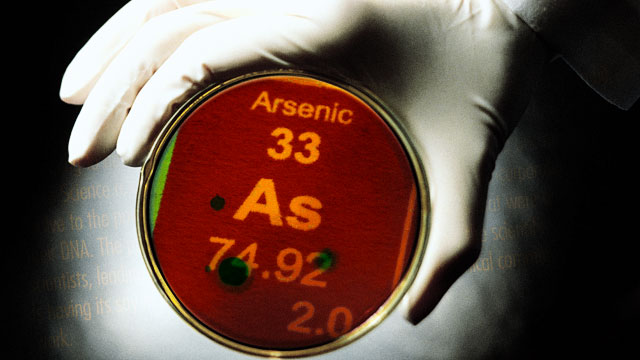 Finally, a real scientific controversy: arsenic in DNA - Ars Technica