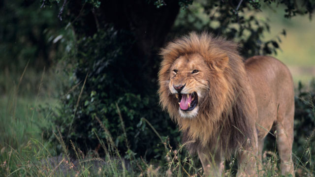 Week in tech: civilizing the Internet edition - Ars Technica