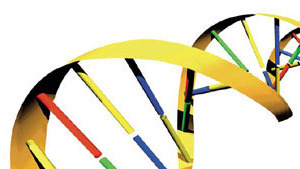 DNA circuits used to make neural network, store memories - Ars Technica