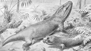 Mass extinction easier to trigger than thought - Ars Technica