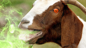 Weird Science avoids “professional exposure to goats” - Ars Technica