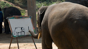 Teradata goes after “big data” with Hadoop-SQL hybrid - Ars Technica