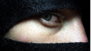 "Operation In Our Sites" targets NinjaVideo with criminal copyright ...