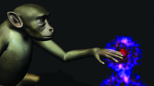 Researchers devise brain-machine interface with a sense of touch - Ars ...