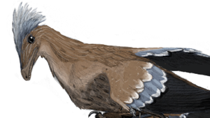 Four-winged dinosaur fossilized after swallowing a bird - Ars Technica