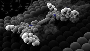 Four-wheeling on the nanoscale: single-molecule vehicles go for a spin ...