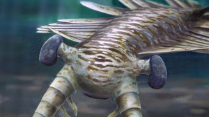It's got 16,000 eyes on you—the vision of a Cambrian-era predator - Ars ...