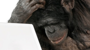 Why humans have computers, and chimps are stuck with sticks - Ars Technica