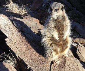 Fossil raindrops tell us a fair bit about ancient atmosphere - Ars Technica