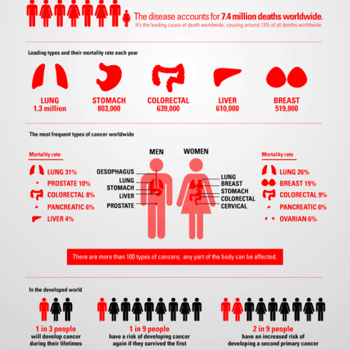 Tag: network analysis - Ars Technica