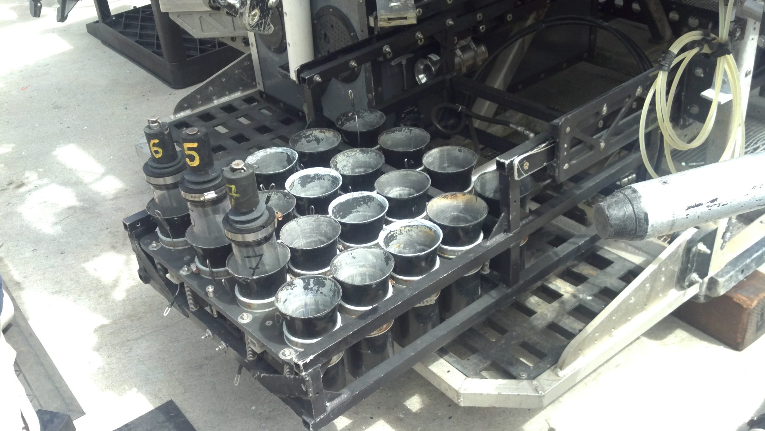 A glimpse into the cutting edge of marine biology research - Ars Technica