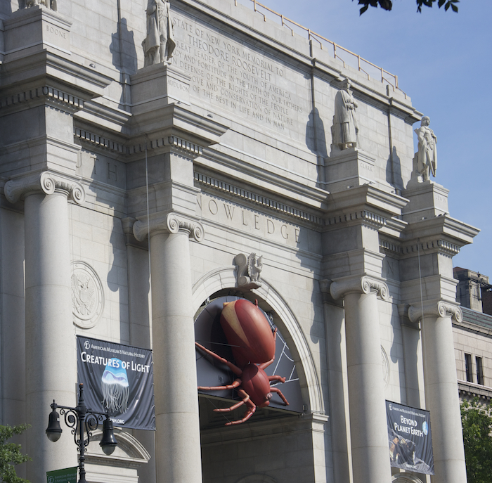 Crawly, but not necessarily creepy: spiders invade Manhattan - Ars Technica