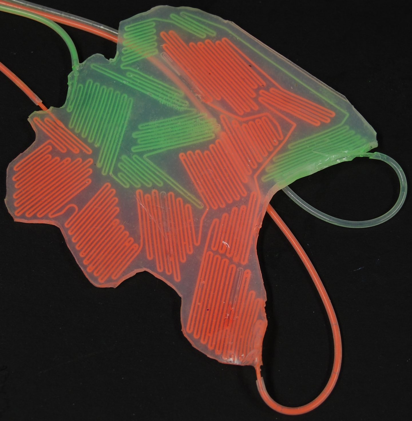 Flexible robots, in (not quite) living color - Ars Technica