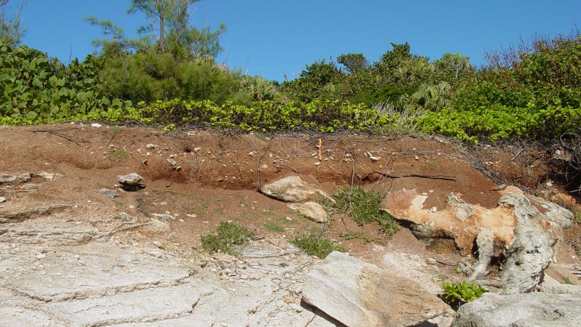 Bermuda’s golf courses sit on land that’s (partly) an African import ...