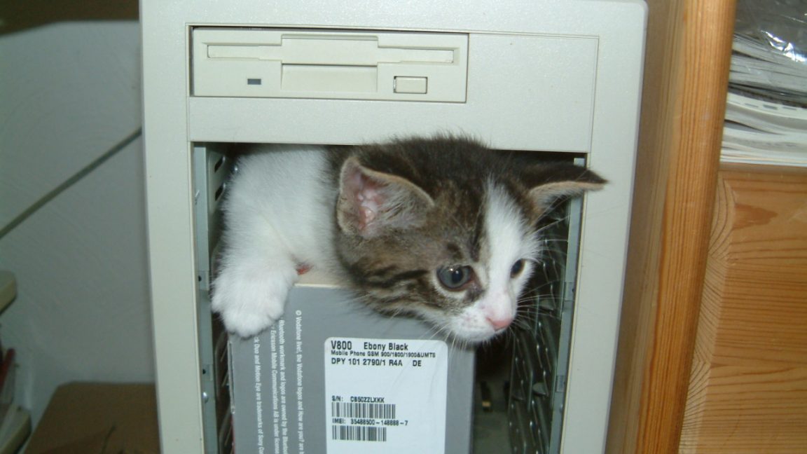 Future of computing has Schrödinger’s cat inside - Ars Technica