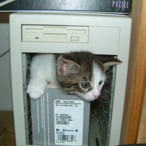 Tag: schrodinger’s cat - Ars Technica