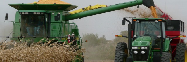 Bioengineered corn can digest itself in the name of biofuels | Ars Technica