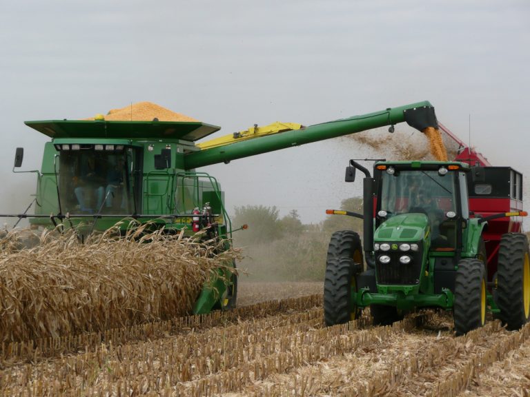 Bioengineered corn can digest itself in the name of biofuels - Ars Technica