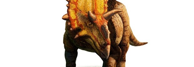 Xenoceratops: the ‘alien horned-face’ dinosaur discovered in Canada ...