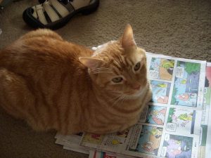 The 12 most incredible webcomics - Ars Technica