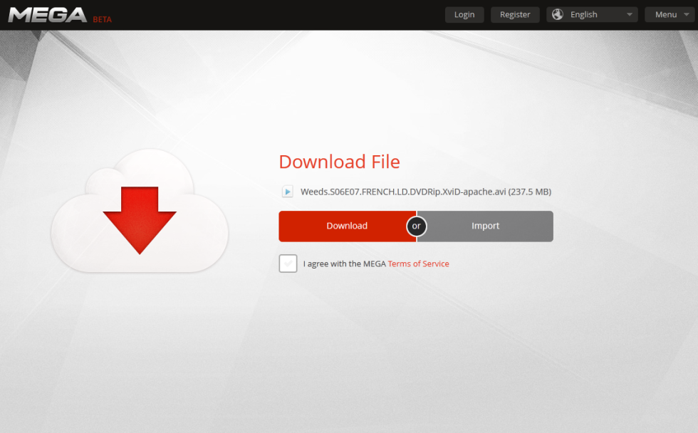 Wait for it... select files from Mega now indexed on third-party site ...