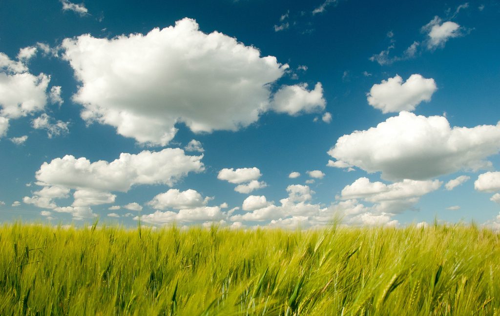 Updated app from Apple brings iCloud Passwords to Windows - Ars Technica