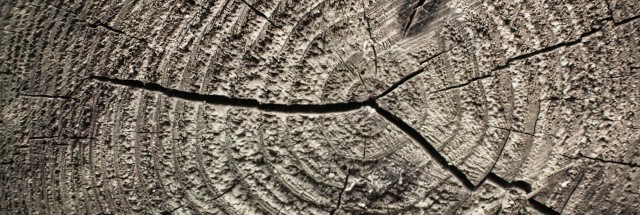Tree ring history spurs actual climate science debate | Ars Technica