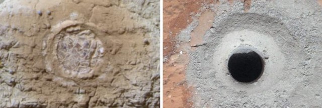 Mars rock contains elements essential to life | Ars Technica