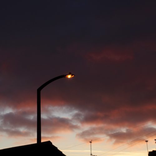 Tag: luciferase - Ars Technica