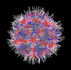 Nanoparticles formed using human viruses, to fight human viruses - Ars ...