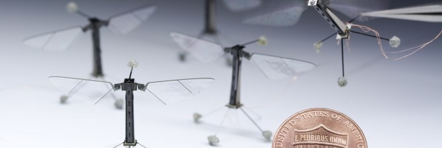Researchers build miniature flying robots, modeled on Drosophila | Ars ...