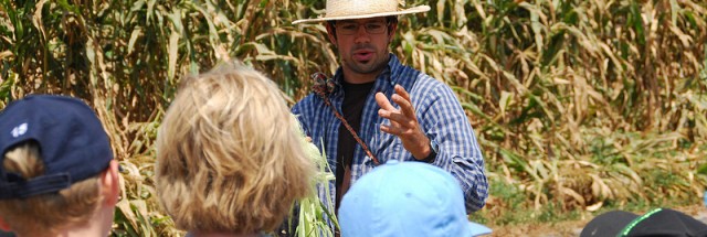 Organic farmers can’t fight Monsanto patents in court | Ars Technica